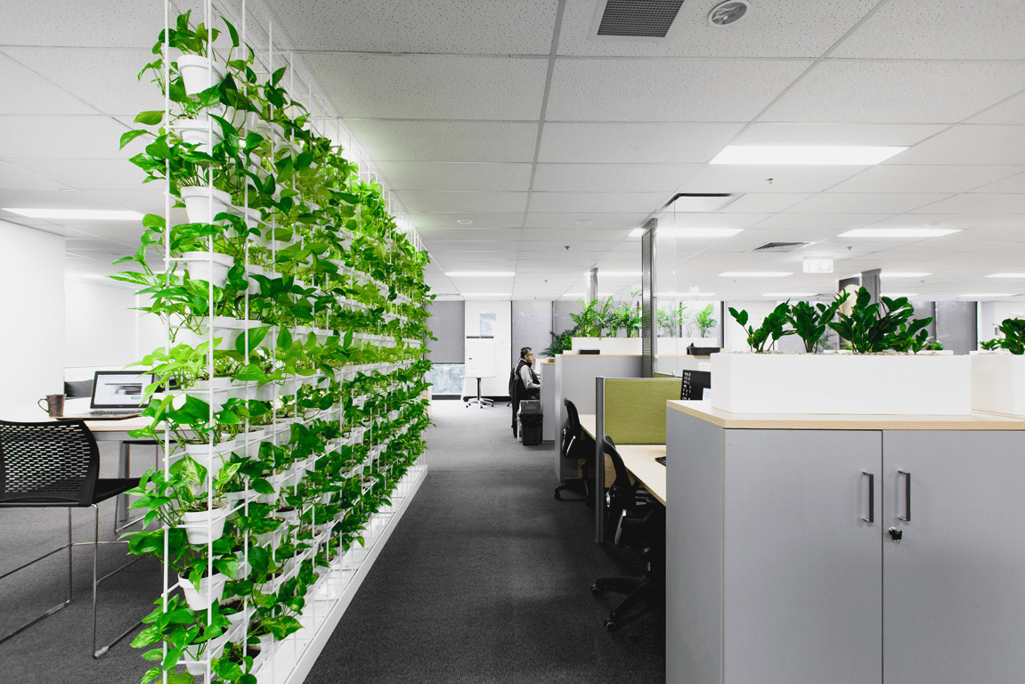 101 Employee Wellness Ideas Vancouver | Fruitfull Offices